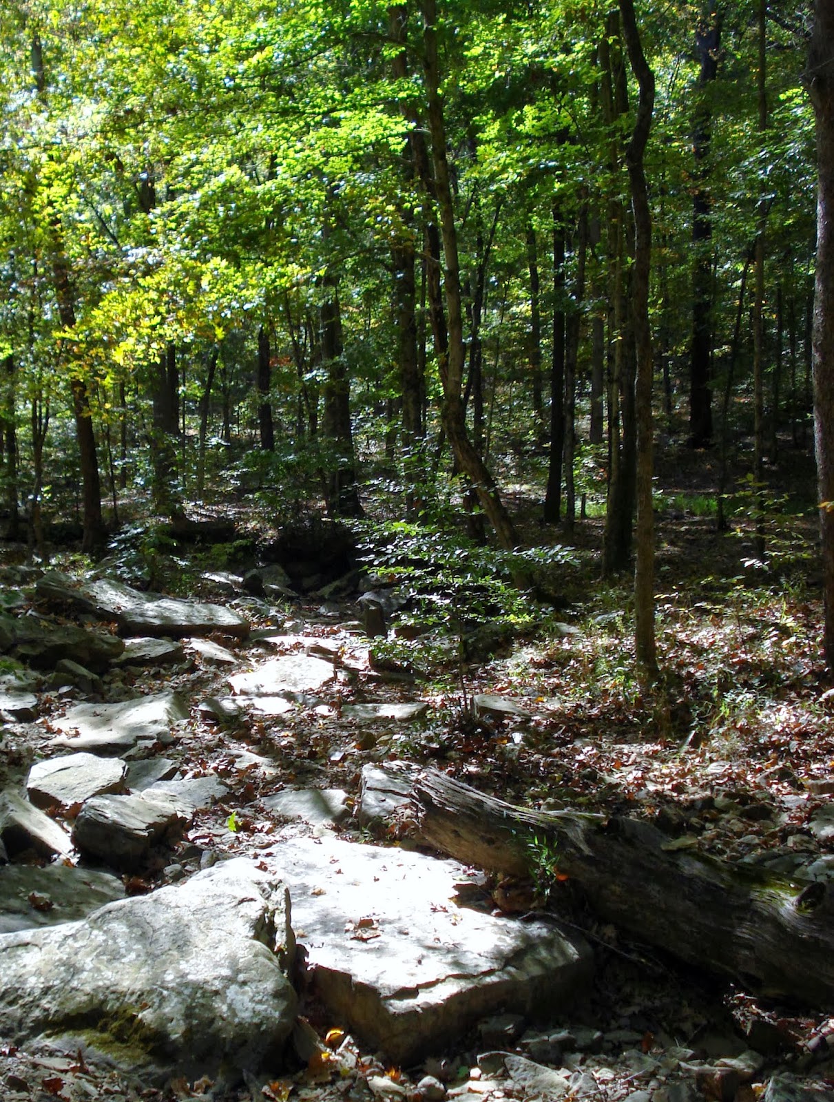 Experiencing Illinois: Jackson Falls - Shawnee National Forest