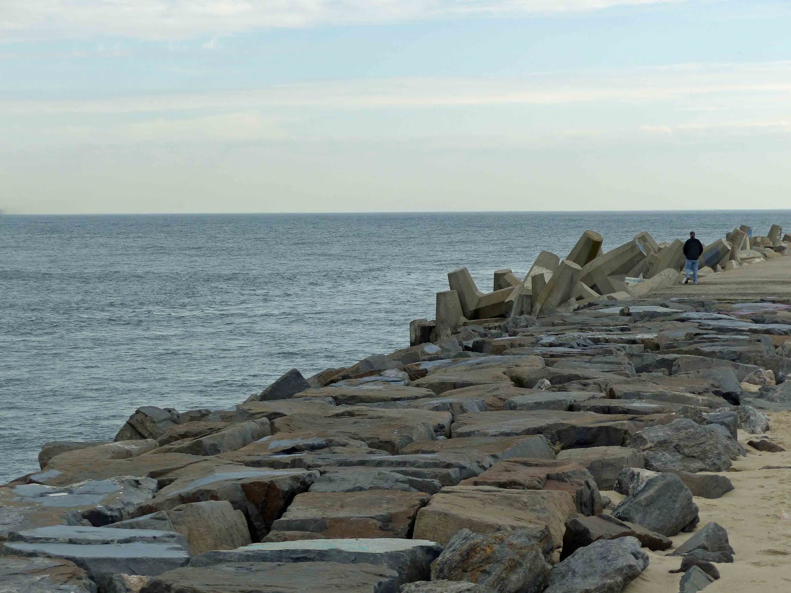 Birds & Words: Manasquan Inlet 2/1--Razorbill