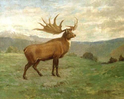 Abe's Animals: 6 globally extinct animals from Britain (United Kingdom)