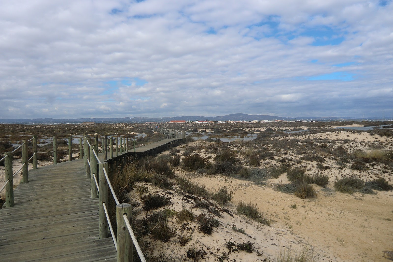 Intercâmbióloga: A Ria Formosa...Um verdadeiro patrimônio natural no ...