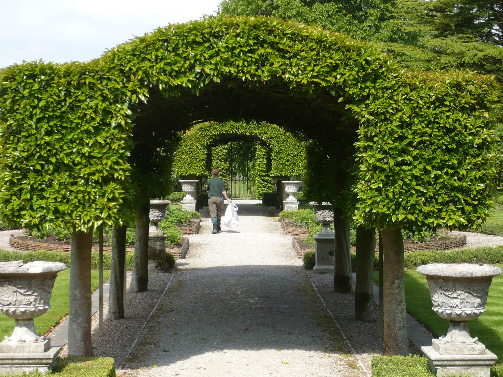 A Raft of Apples: Xystus