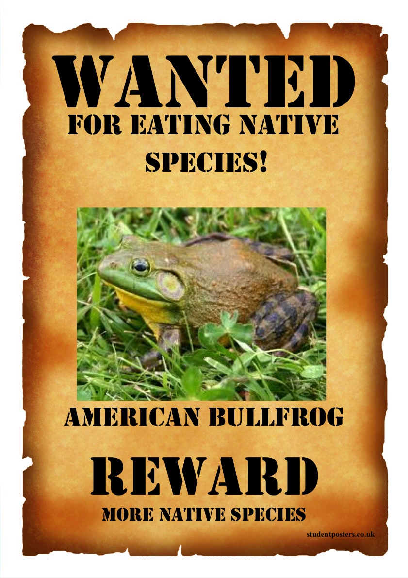 Invasion of the Pacific Northwest: What are Invasive Species?