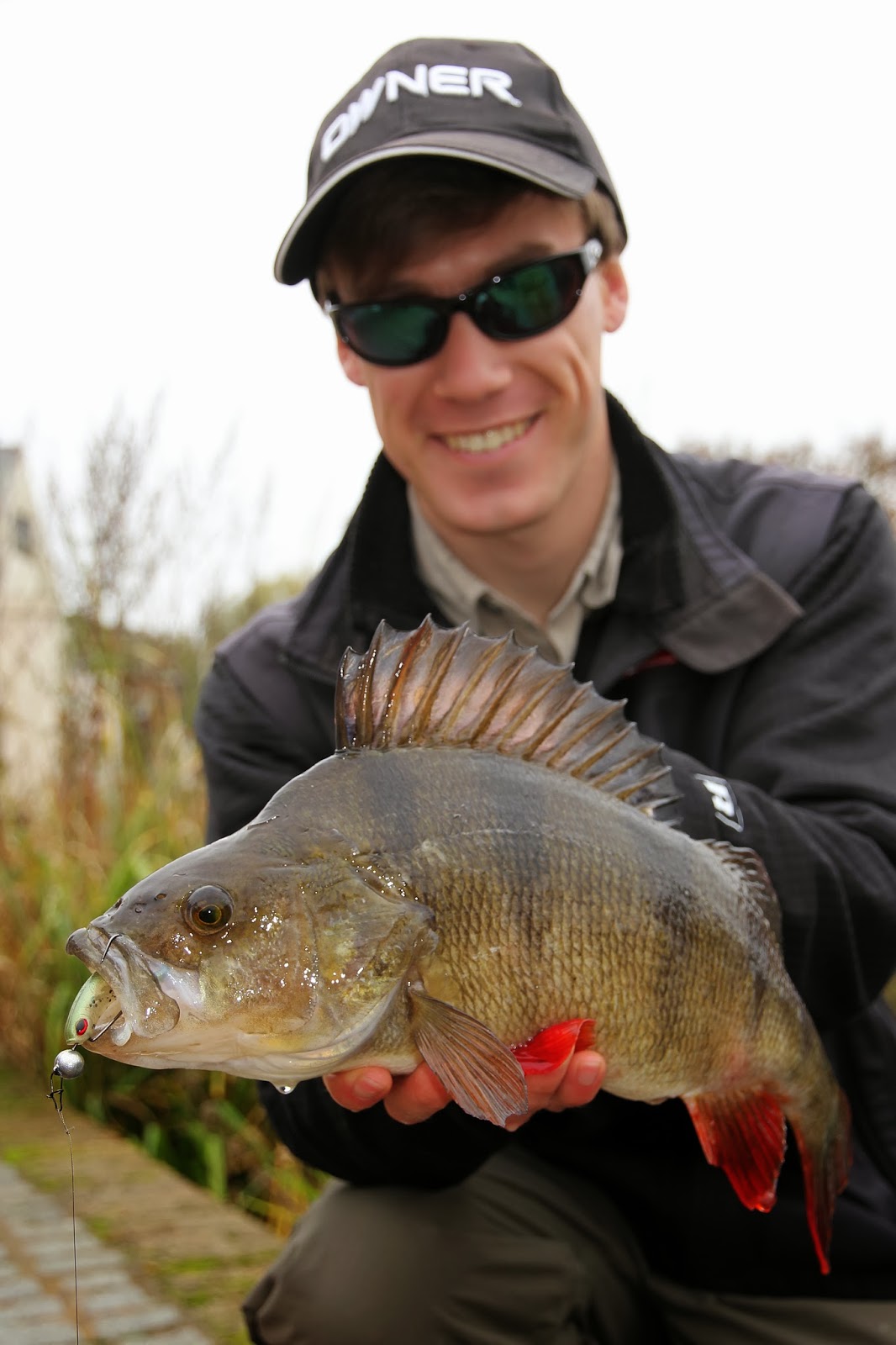 Sam Edmonds Fishing Blog: Ballan Wrasse - my 119th species on a lure!