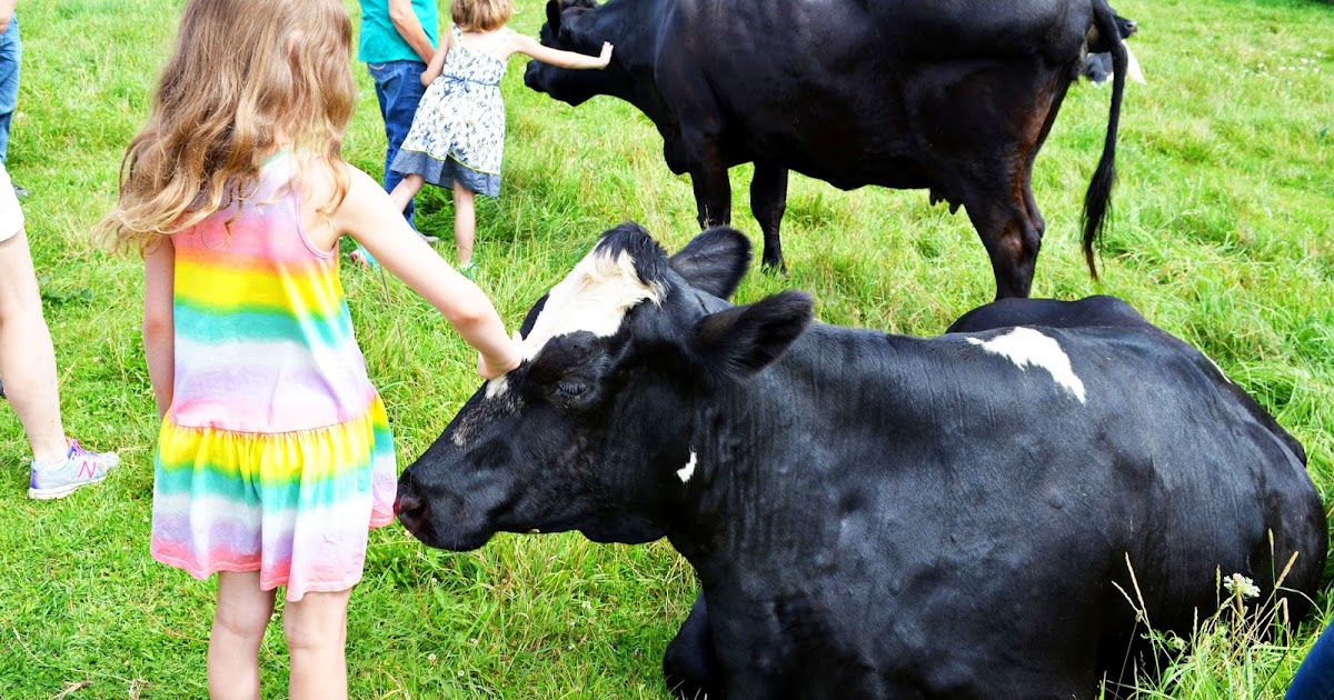Not Buying Anything: Happy Cows Are Living Cows