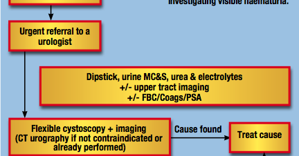 Medical Intern Cases: Visible Haematuria