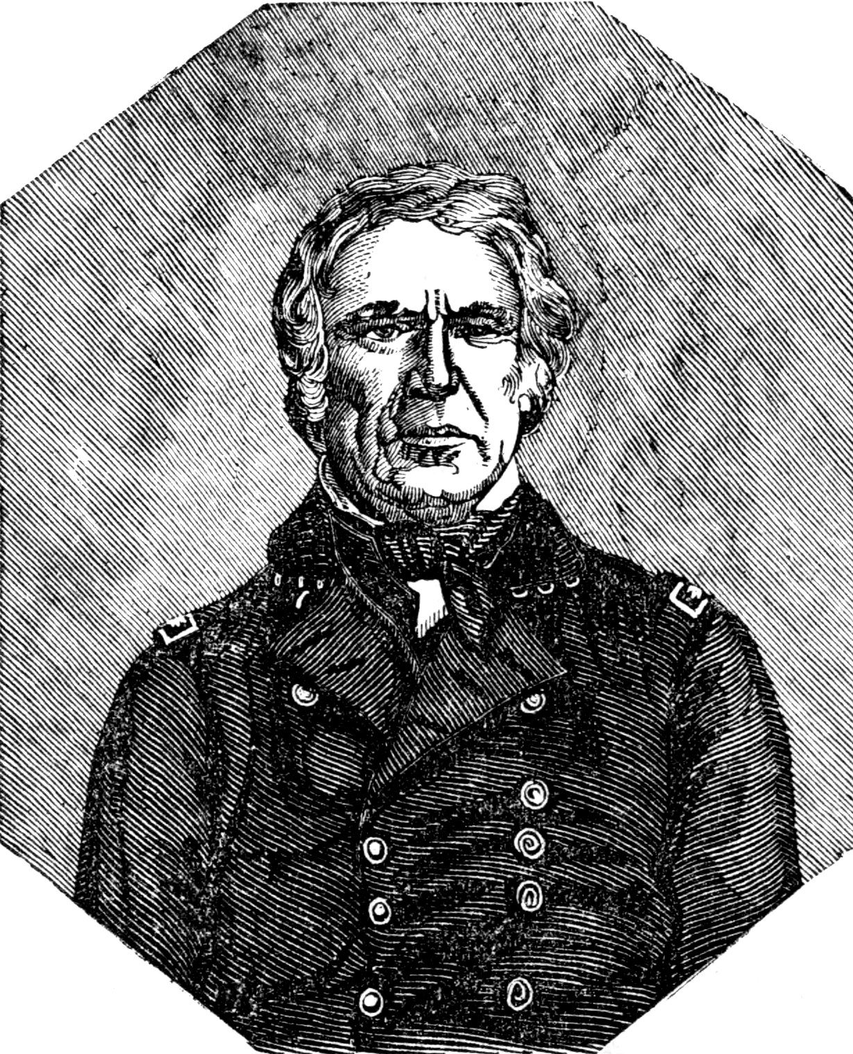 The Portrait Gallery: Zachary Taylor