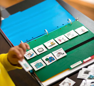 Fun with SATB2 Associated Syndrome : What is PECS?