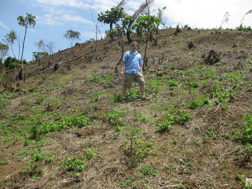 kaingin - philippin news collections