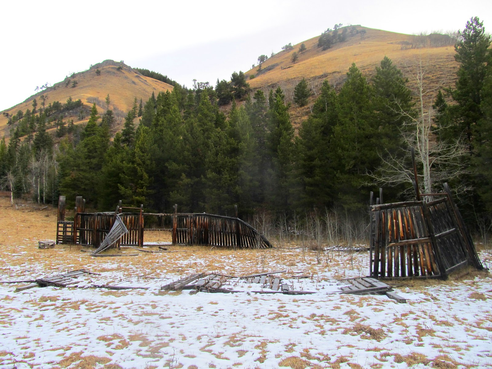 The Passionate Hiker: Hunting Season