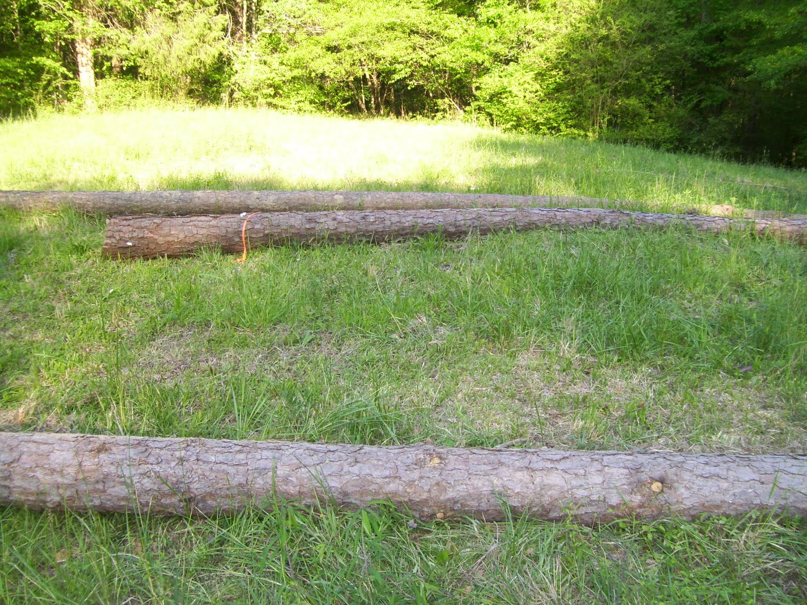 Building a butt and pass log cabin: First day of actually getting to ...