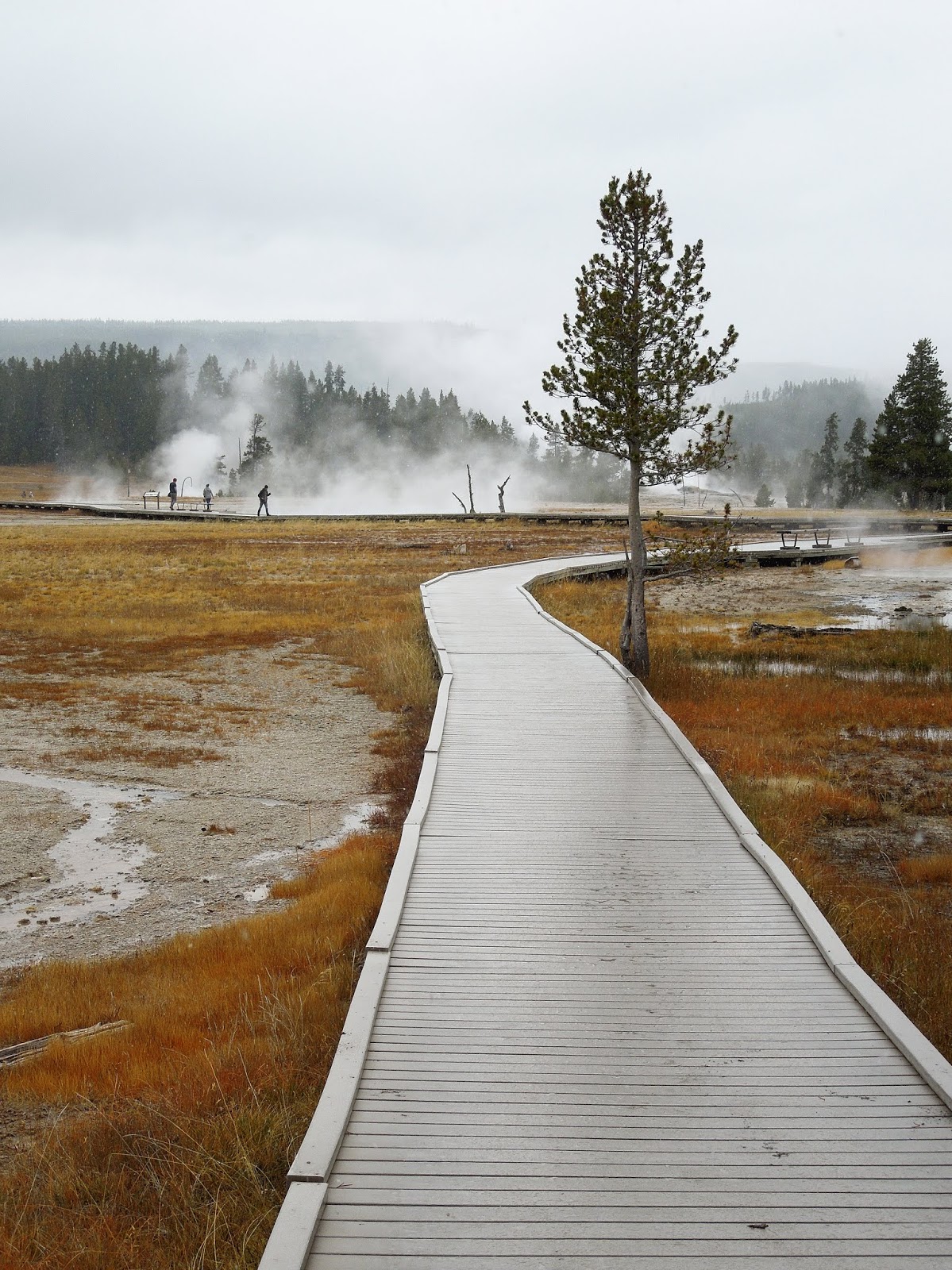 Focusing On Travel : Yellowstone: A Geyser Gazers Guide to the Upper ...