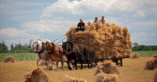 Hymns With A Message: BRINGING IN THE SHEAVES