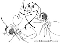 Behind the Scenes: Defenestrated Drawings | Defenestrated Feet