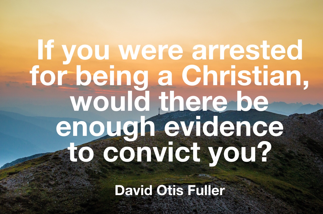 Bear Wrongs Patiently