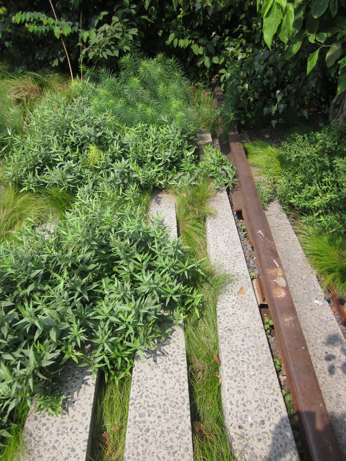 Dedicated to Buffalo: BUFFALO: Bottom-Up or Master Plan? A blog ...