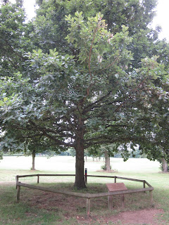 Being Bess: November 2015