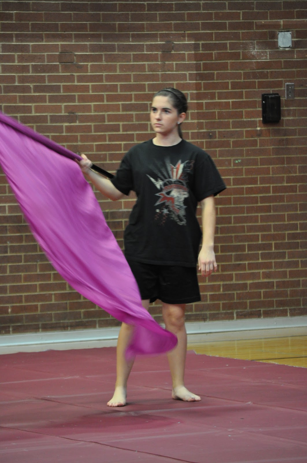 AF Color Guard: INTRODUCING the 2013 OPEN GUARD
