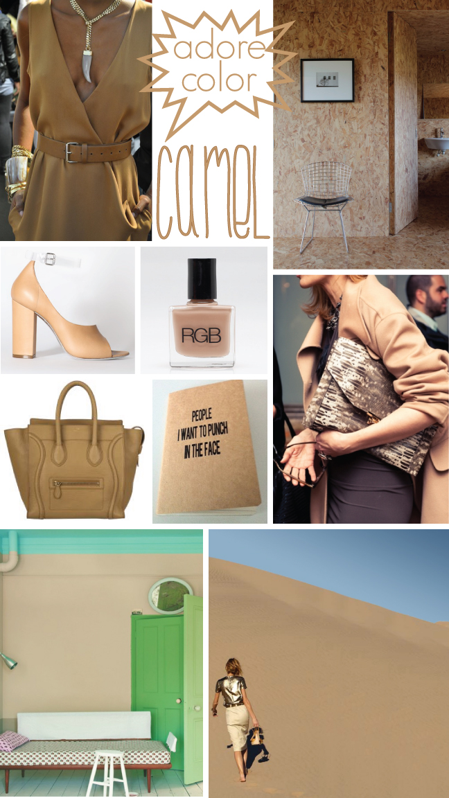 DESIGN my heart out: adore color: color me camel