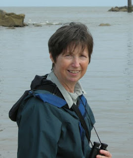 Fantastic Feathers: The Secret Life of Moles by Liz Burgess - [Book Review]