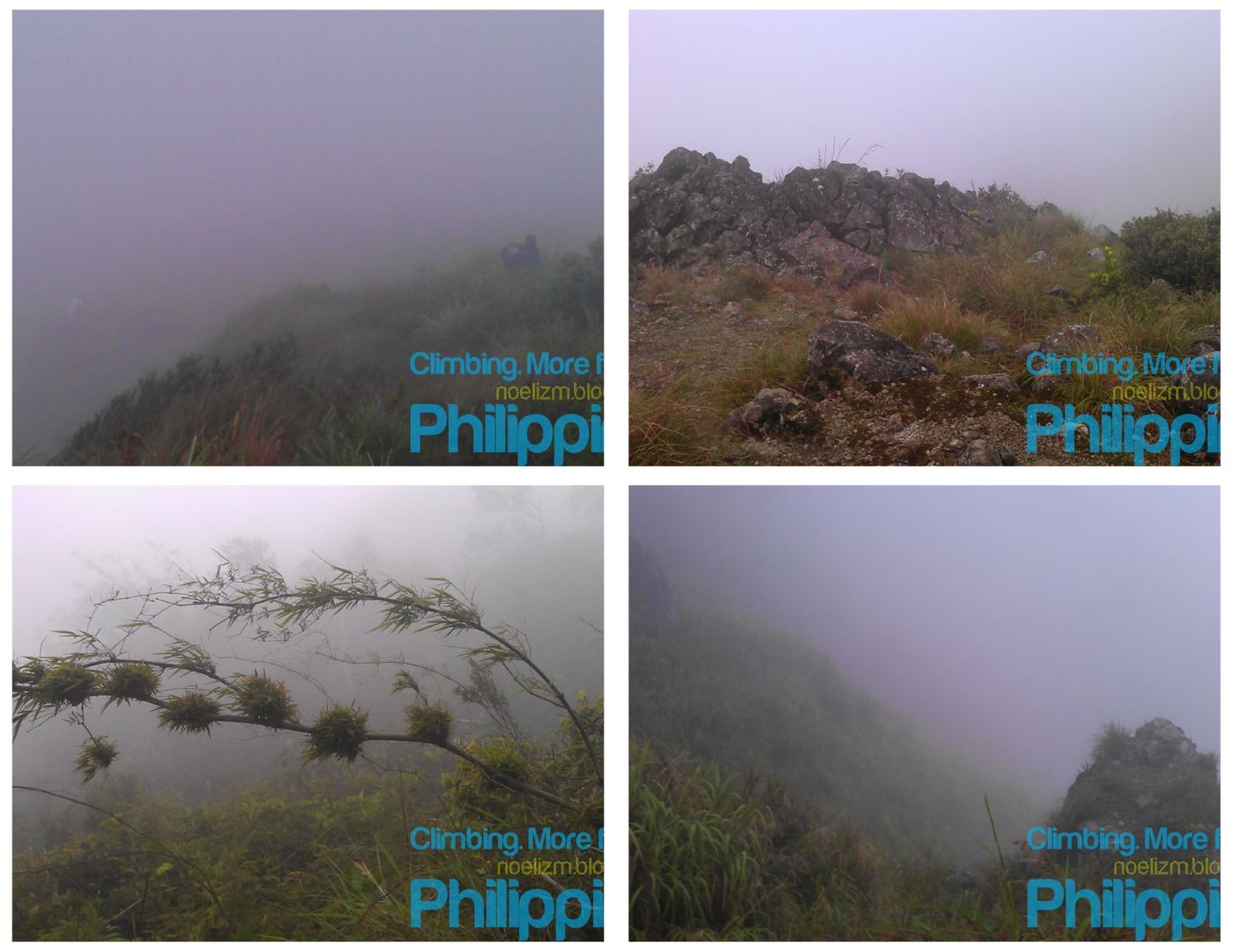 Climbing the Tarak Ridge of Mt. Mariveles | Noelizm