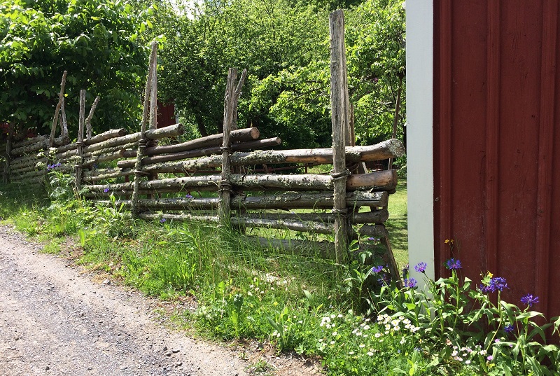 Mina fotostunder: Vägen till gamla kvarnen