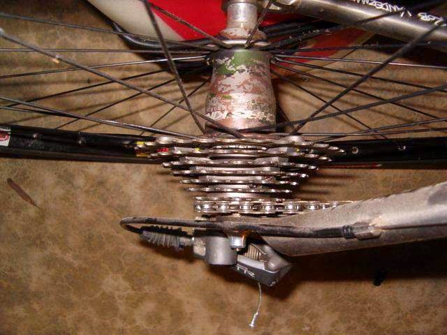 Post de Cosas Curiosas para Bicis&Ciclistas | Página 606 | ForoMTB.com