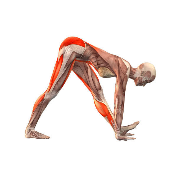 Advanced Yoga Poses: Techniques & Instruction (Part 6) | Workout Up