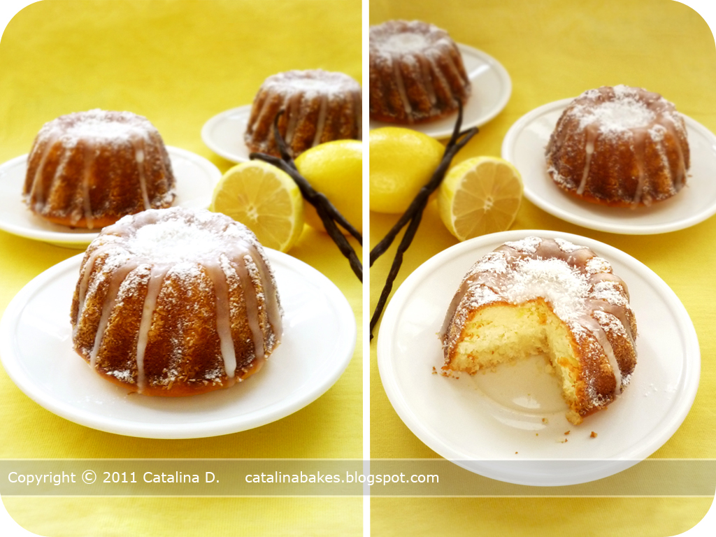 Catalina Bakes: Coconut and Lemon Quark Cheese Mini Bundt Cakes