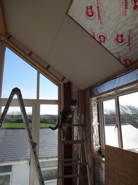 V&A's Home Build: Boarding: Ceilings - First floor vaulted