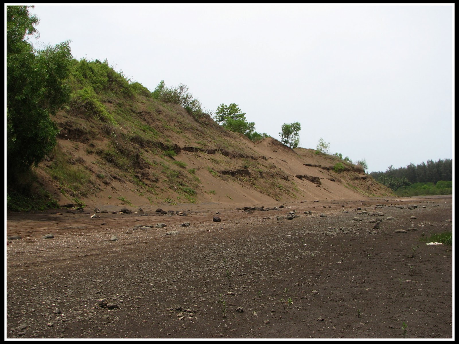 Travel blogs: Trip to Kelshi, Velas and Dapoli