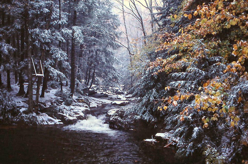 Images and More: The Right Place at the Right Time – Two Early Winter ...