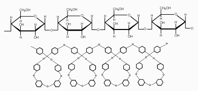 SESIÓN N° 9: PIO: GLÚCIDOS ~ APRENDAMOS A CONOCER NUESTRO MUNDO