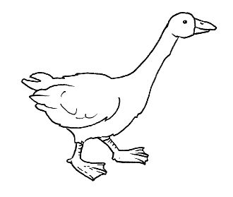 RECURSOS y ACTIVIDADES para Educación Infantil: Dibujos para colorear: OCA