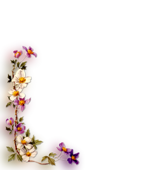 Flowers Free Printable Frames. - Oh My Fiesta! in english