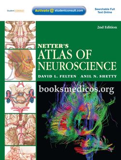 netter | booksmedicos - Part 6