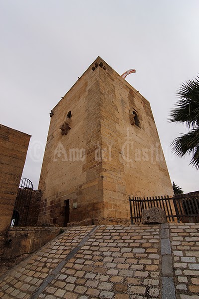 AMO DEL CASTILLO: La Banda Morisca V. El castillo de Utrera