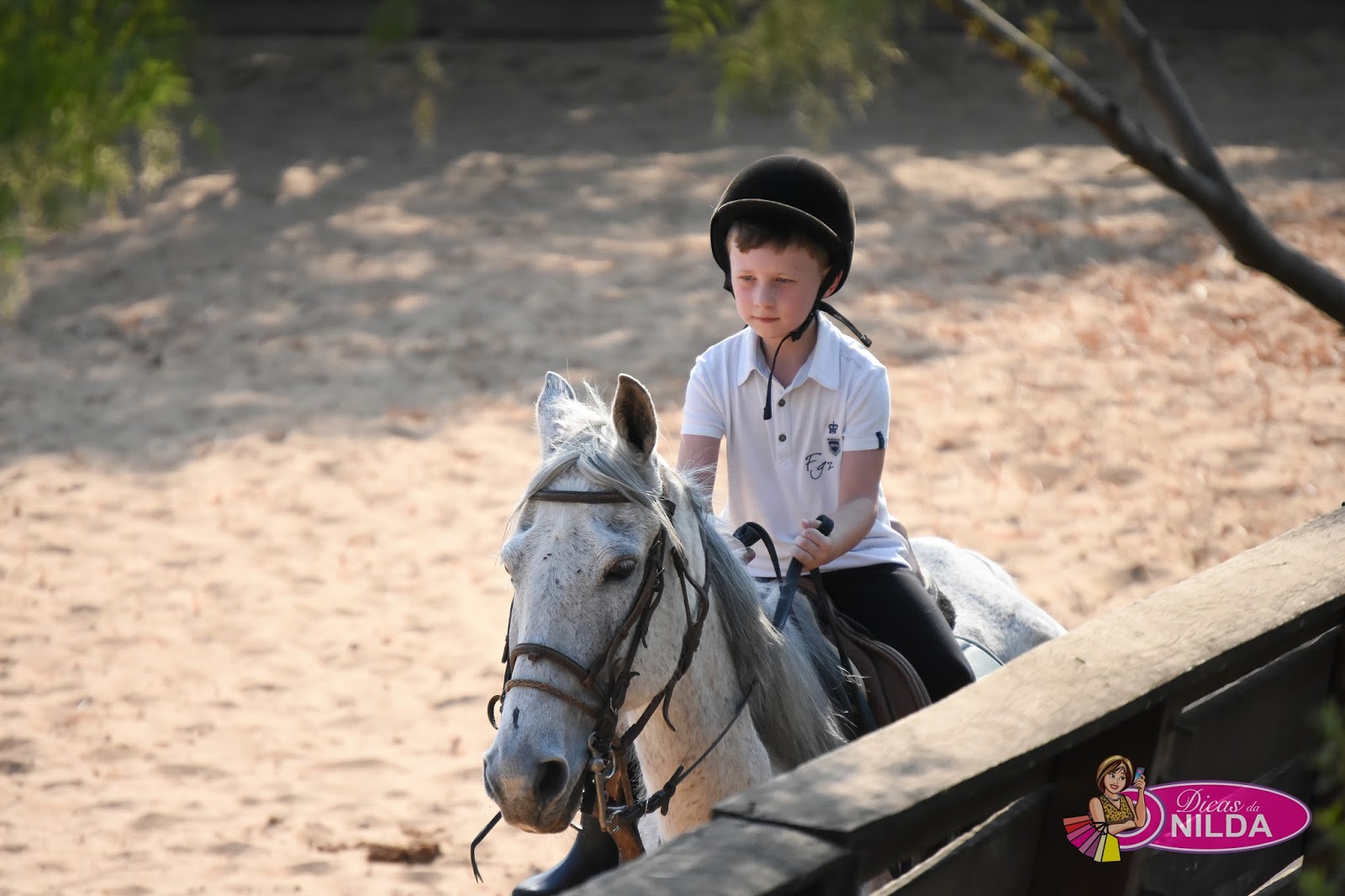 Dicas da Nilda: setembro 2017