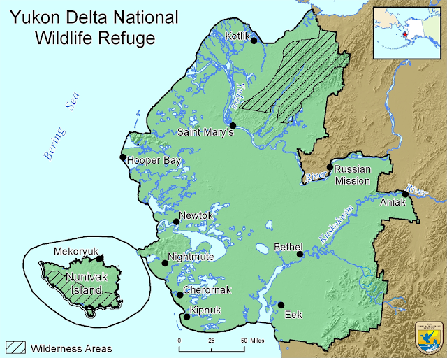 Pluff Mud Perspectives: Highlighting the Yukon Delta National Wildlife ...