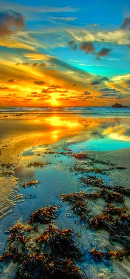 Sunset landscape ~ Stunning nature