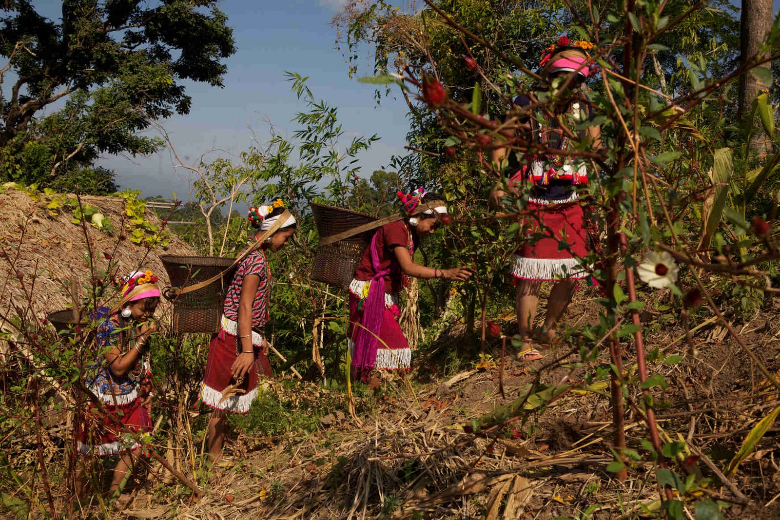 Photography by Mahmud Rahman of Map Photo Agency: Indigenous people of ...
