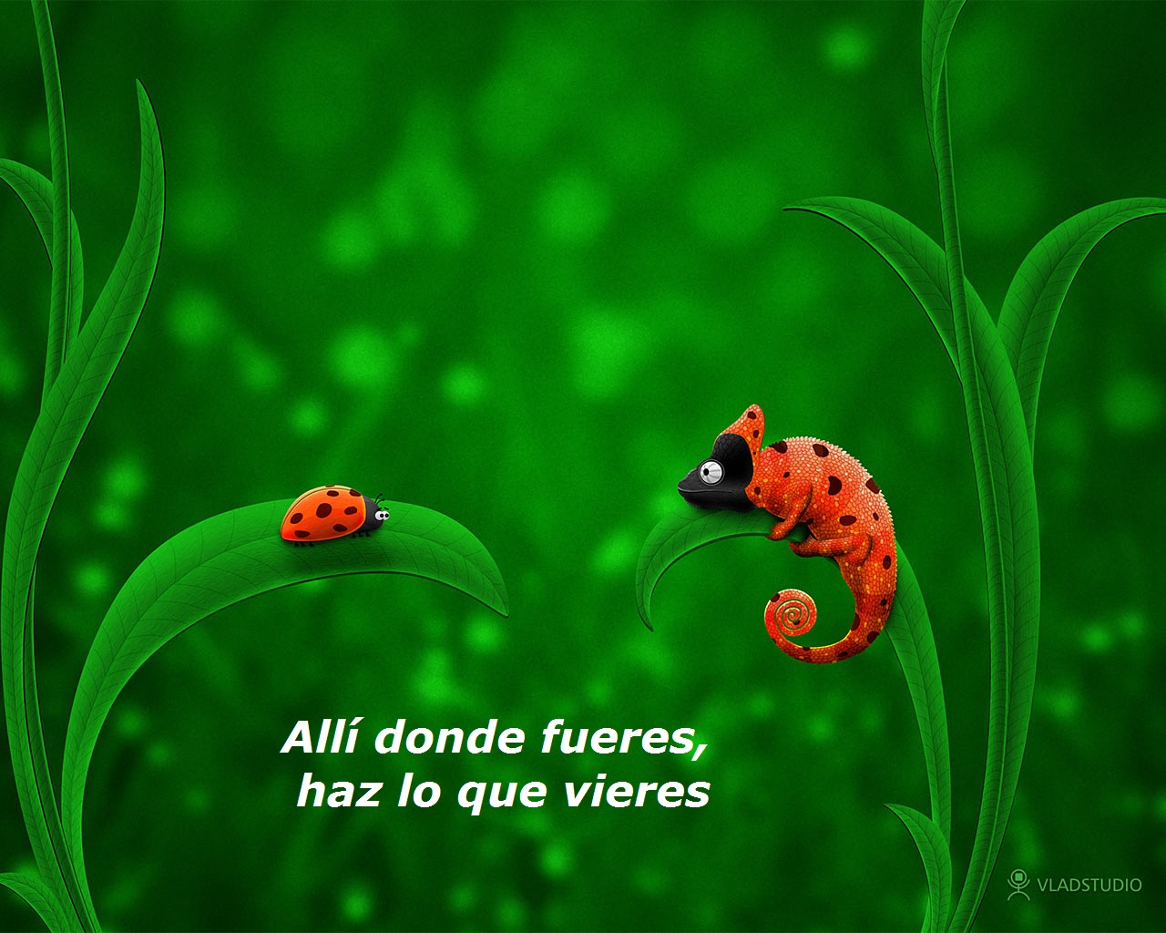 Mi Mnemósime - Mafar: REFRANES POPULARES 1