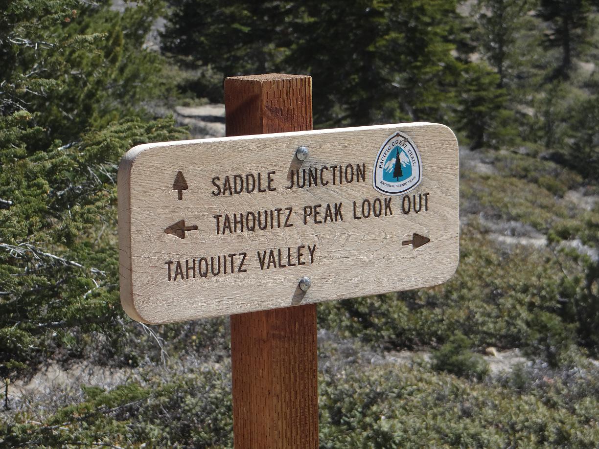 Postcards from Idyllwild: Opening of Tahquitz Fire Lookout Tower