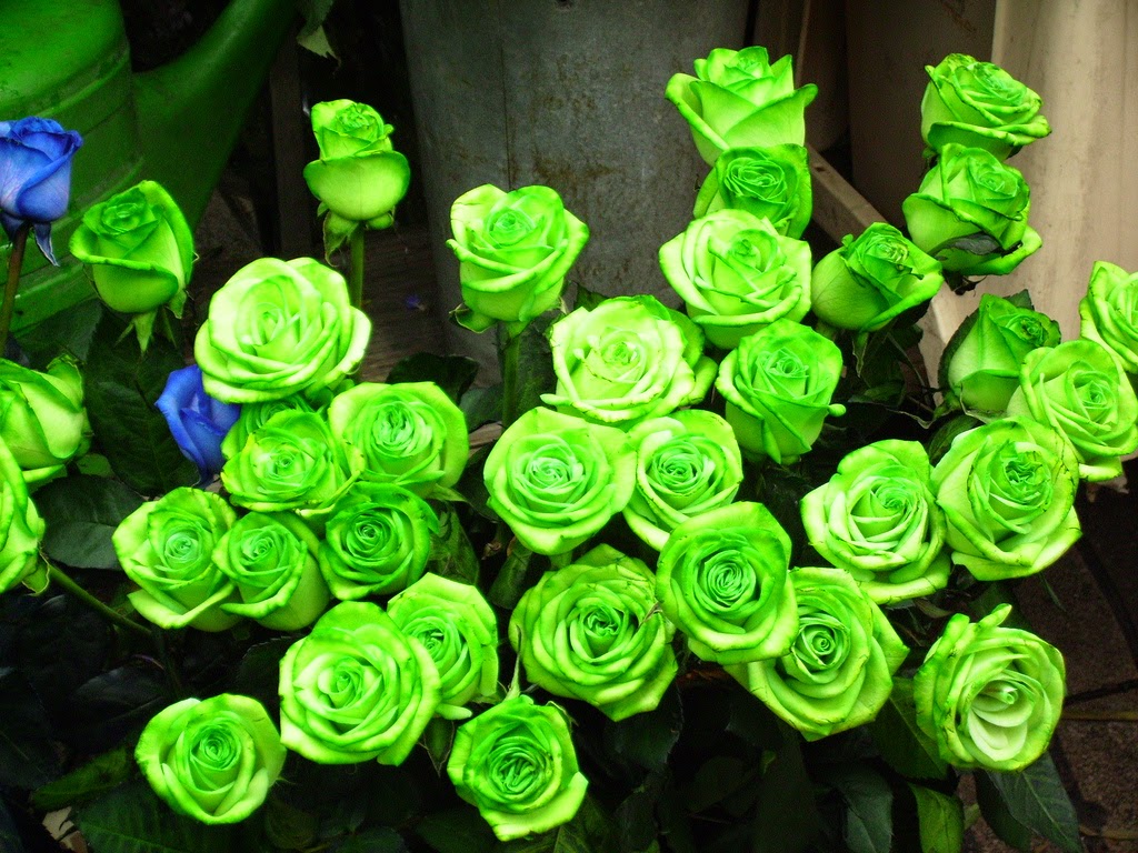 Para el muro: ROSAS VERDES