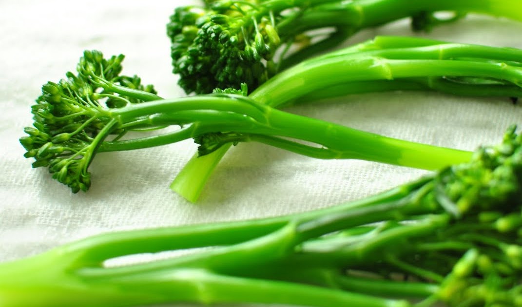 Quiet Like Horses: Broccolini Salad with Burrata Cheese (and a word on ...