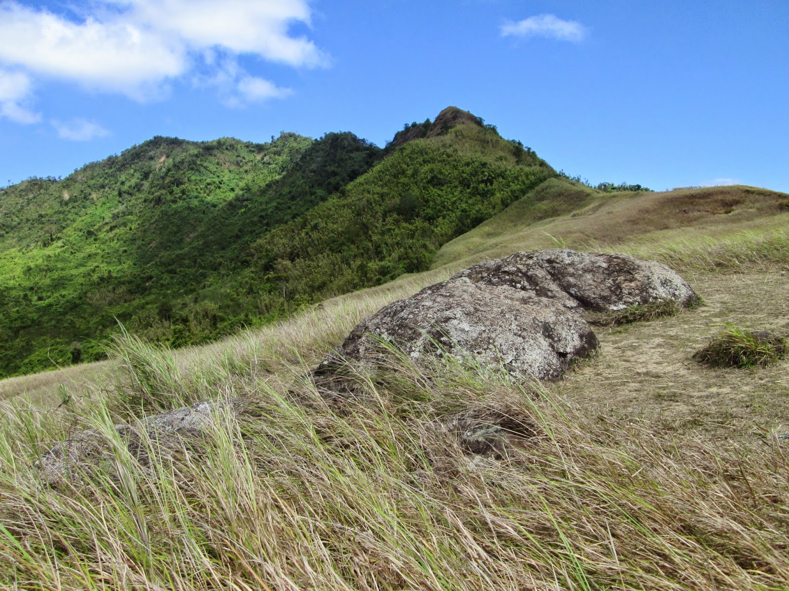 Skookum Mountaineers: Mt. Batolusong - Duhatan Ridge; Mapatag Plateau ...