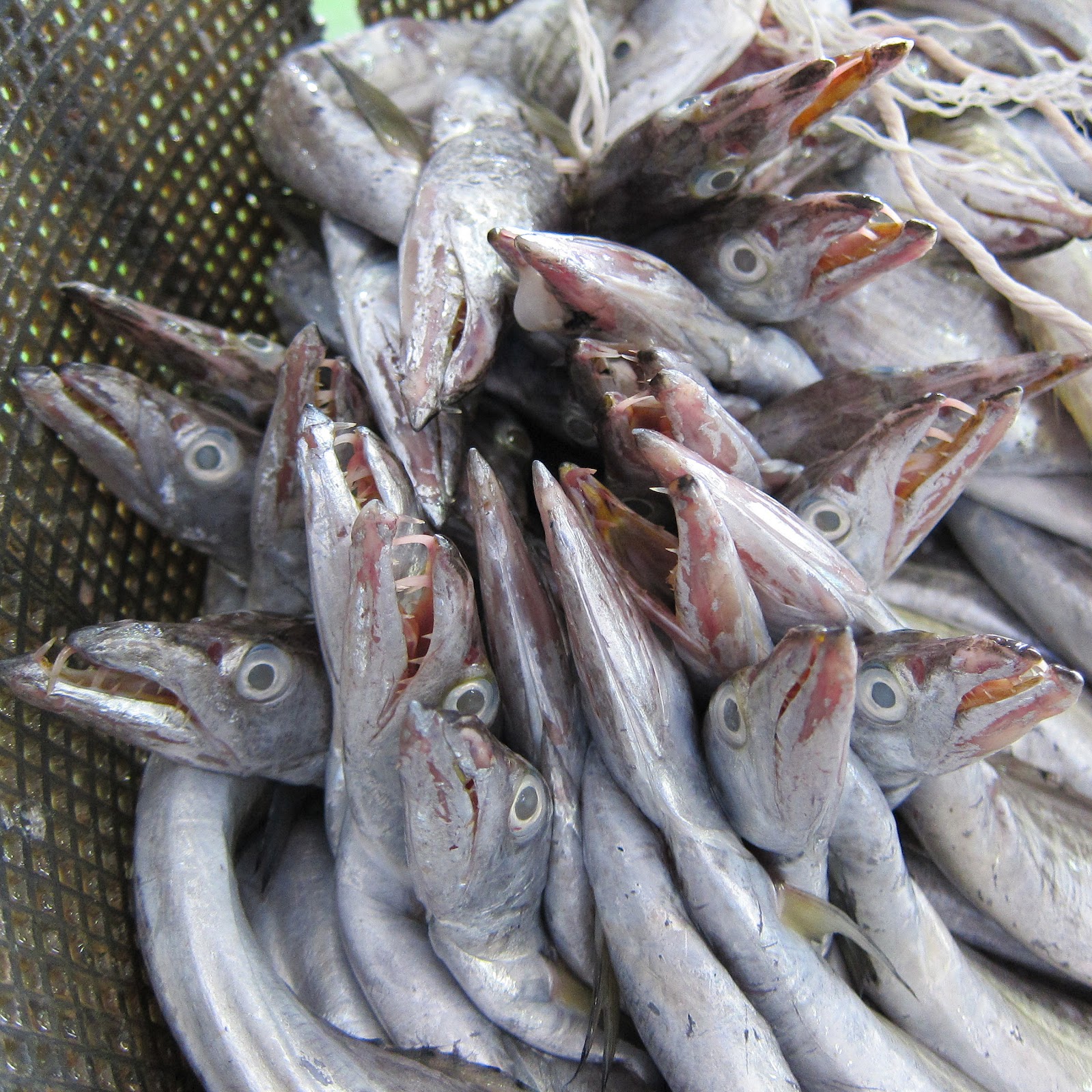 Where to Buy Fish in Pontian? Get Restaurant to Cook for You on the ...