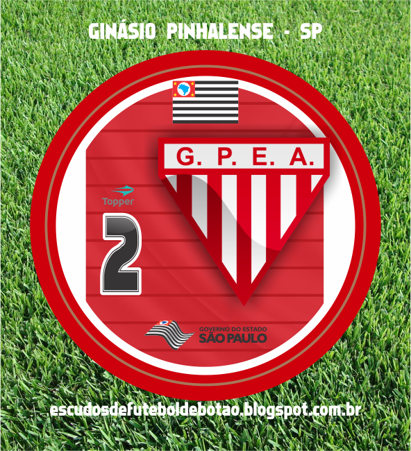 ESCUDOS DE FUTEBOL DE BOTÃO: Da cidade de Espírito Santo do Pinhal, o ...