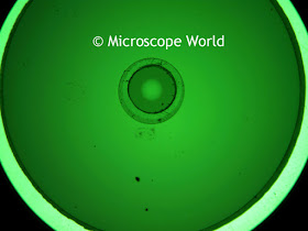 Microscope World Blog: Fiber Optic Cables under the Microscope