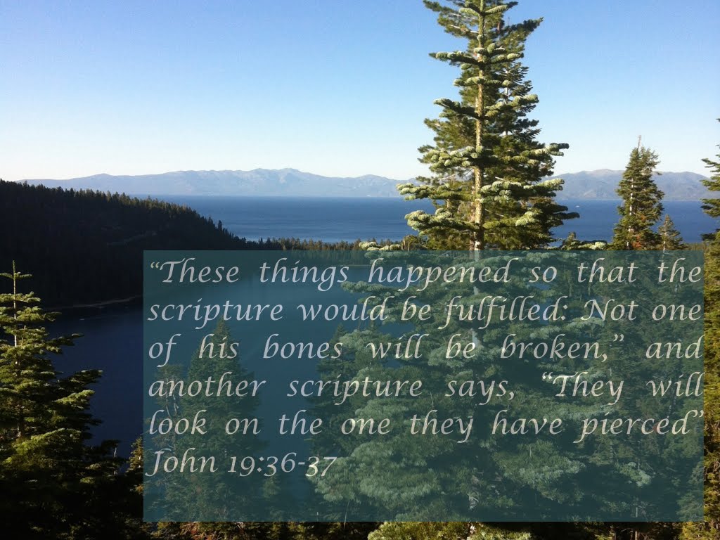 Homiletics in the Sierra Foothills: Gospel of John