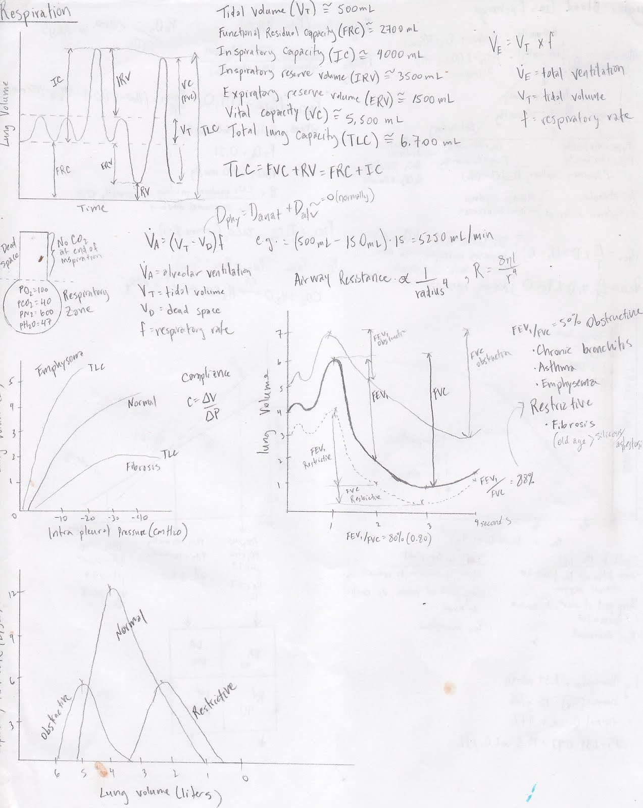 Spencer's Caribbean Medical School Journal: Physiology Formulas for ...